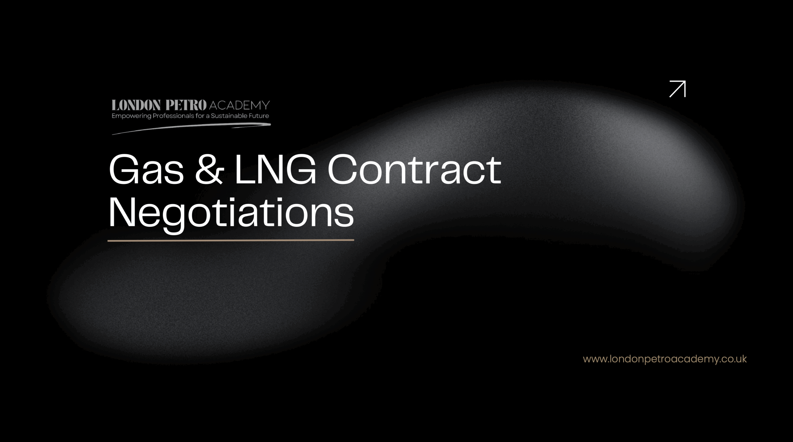 Gas & LNG Contracts Negotiations - London Petro Academy