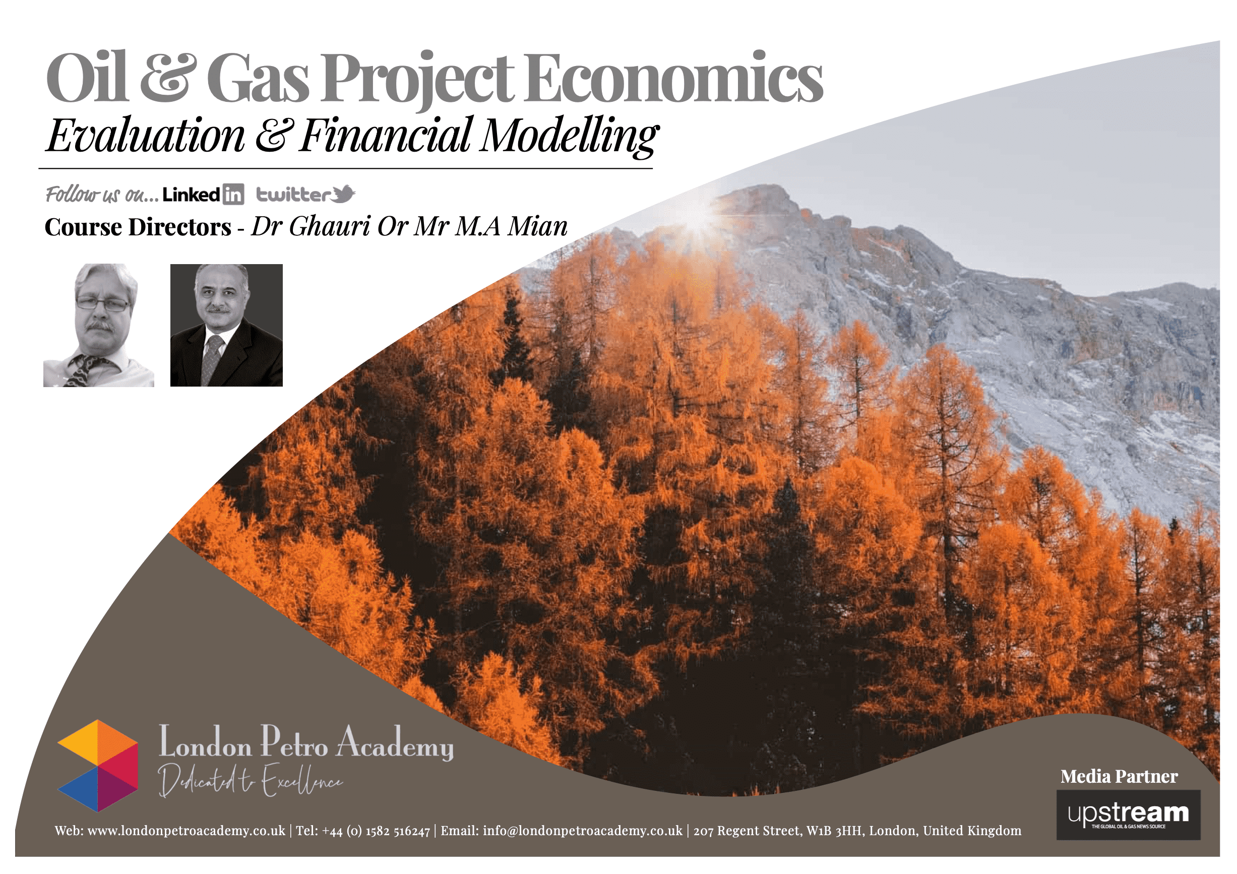 Petroleum Project Economics and Risk Decision Analysis - London Petro Academy